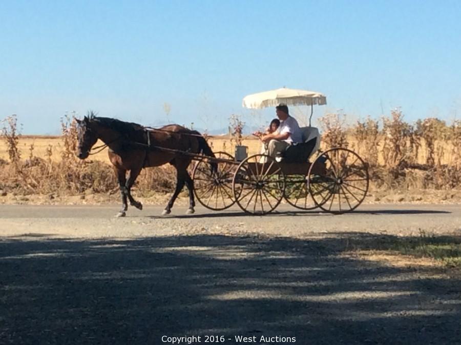 West Auctions - Auction: Antique 1890's Horse Drawn Doctor's Buggy ITEM ...