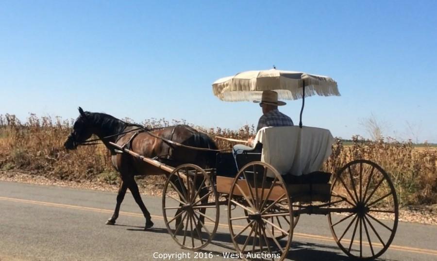 West Auctions - Auction: Antique 1890's Horse Drawn Doctor's Buggy ITEM ...