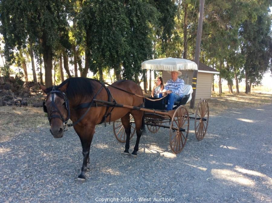 West Auctions - Auction: Antique 1890's Horse Drawn Doctor's Buggy ITEM ...