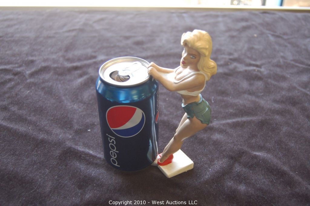 West Auctions Auction Variety Auction From The Difference In Chico Ca Item Sexy Girl Beer