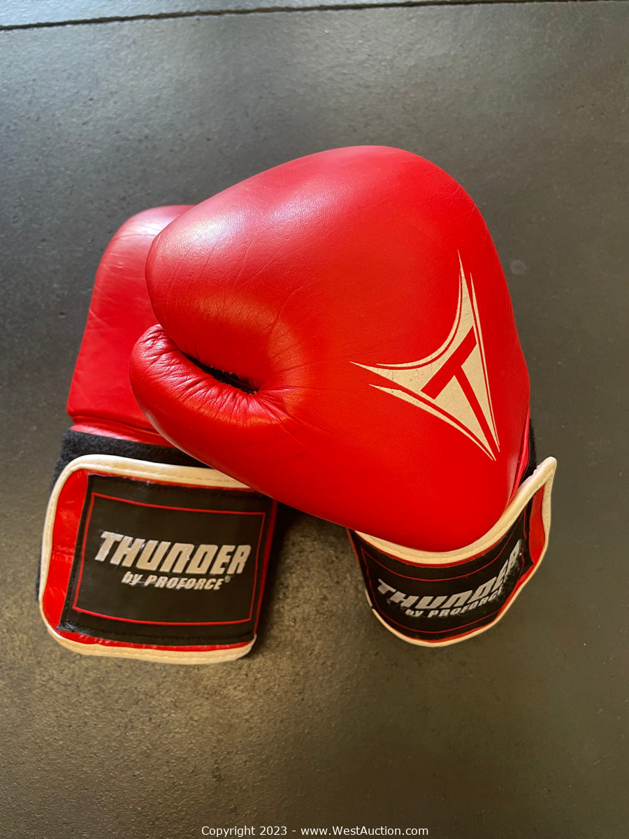 West Auctions - Auction: Surplus Auction of Gym Equipment in Monterey ...