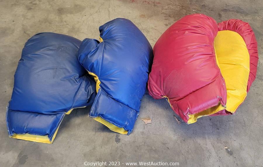 West Auctions - Auction: Surplus Auction of Inflatable Bounce Houses ...